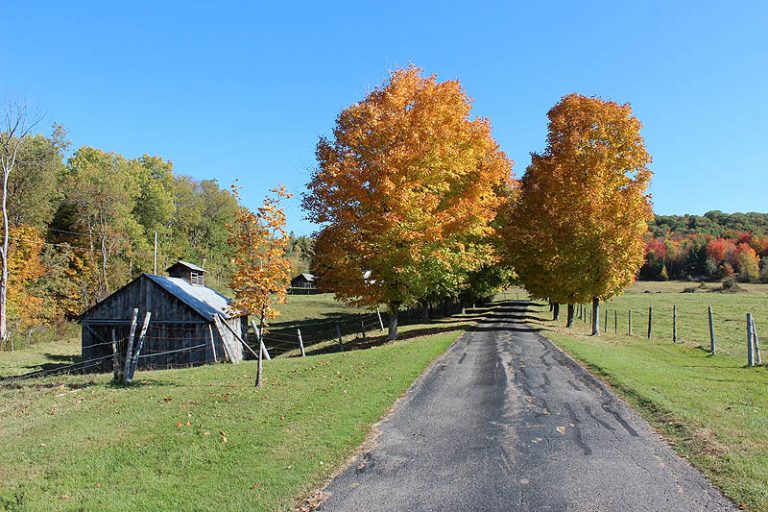Must See Absolutely Stunning Vermont Fall Foliage Colors