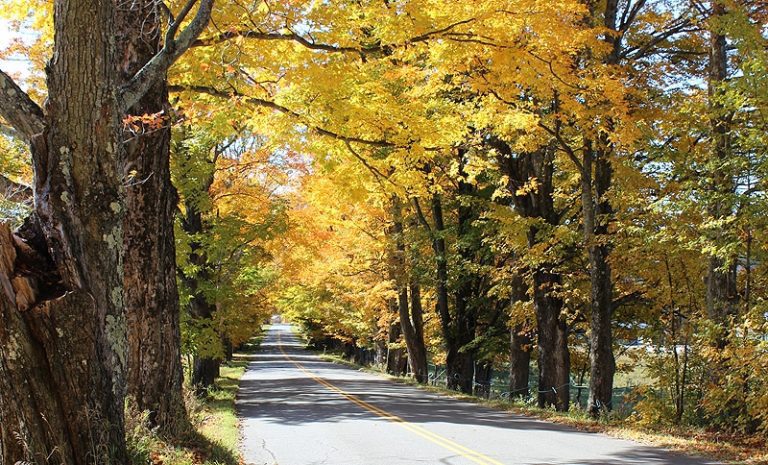 Must See Absolutely Stunning Vermont Fall Foliage Colors