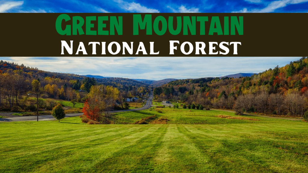 Vermont's Awesome and Wonderful Green Mountain National Forest ...