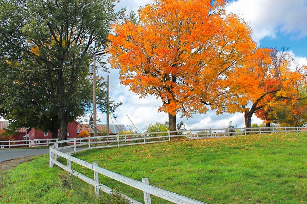The Very Best Things to do in Vermont in the Fall - Vermont's Very Best ...