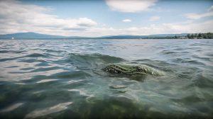 Champ the Lake Champlain Monster - Vermont's Very Best Stories and Legends