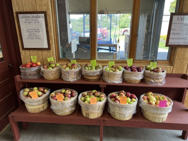 Picking the Best Apple Orchards in Vermont - Vermont's Very Best ...