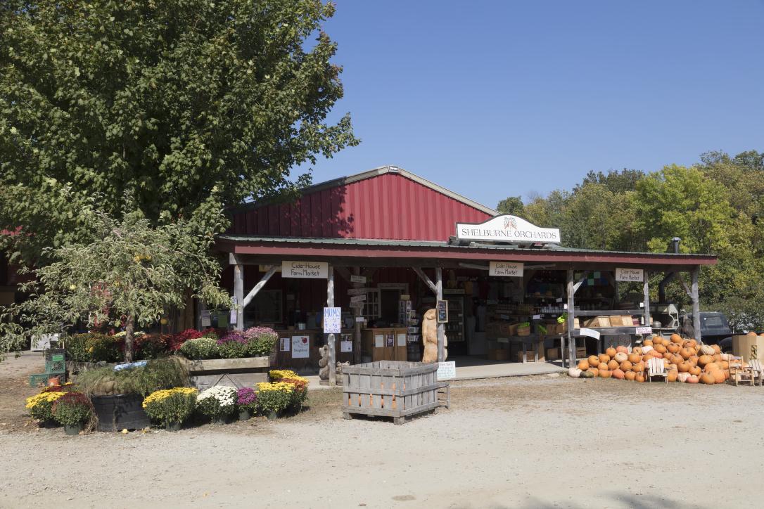 Picking the Best Apple Orchards in Vermont - Vermont's Very Best ...